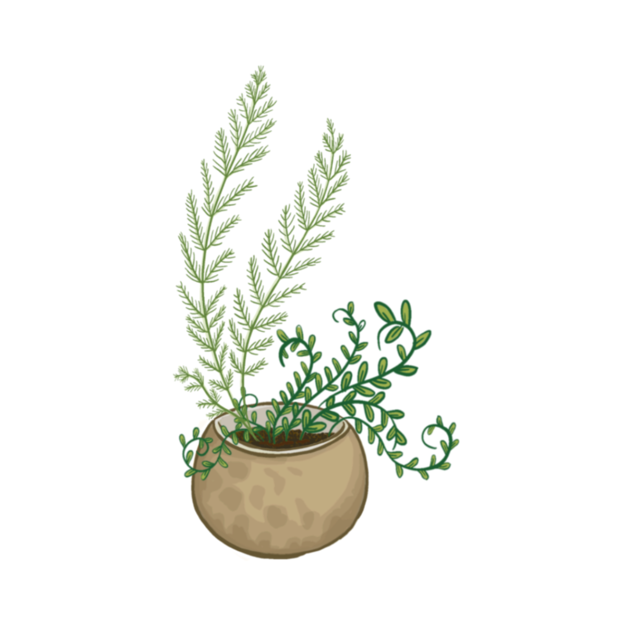 Ateliê Flor da Mata